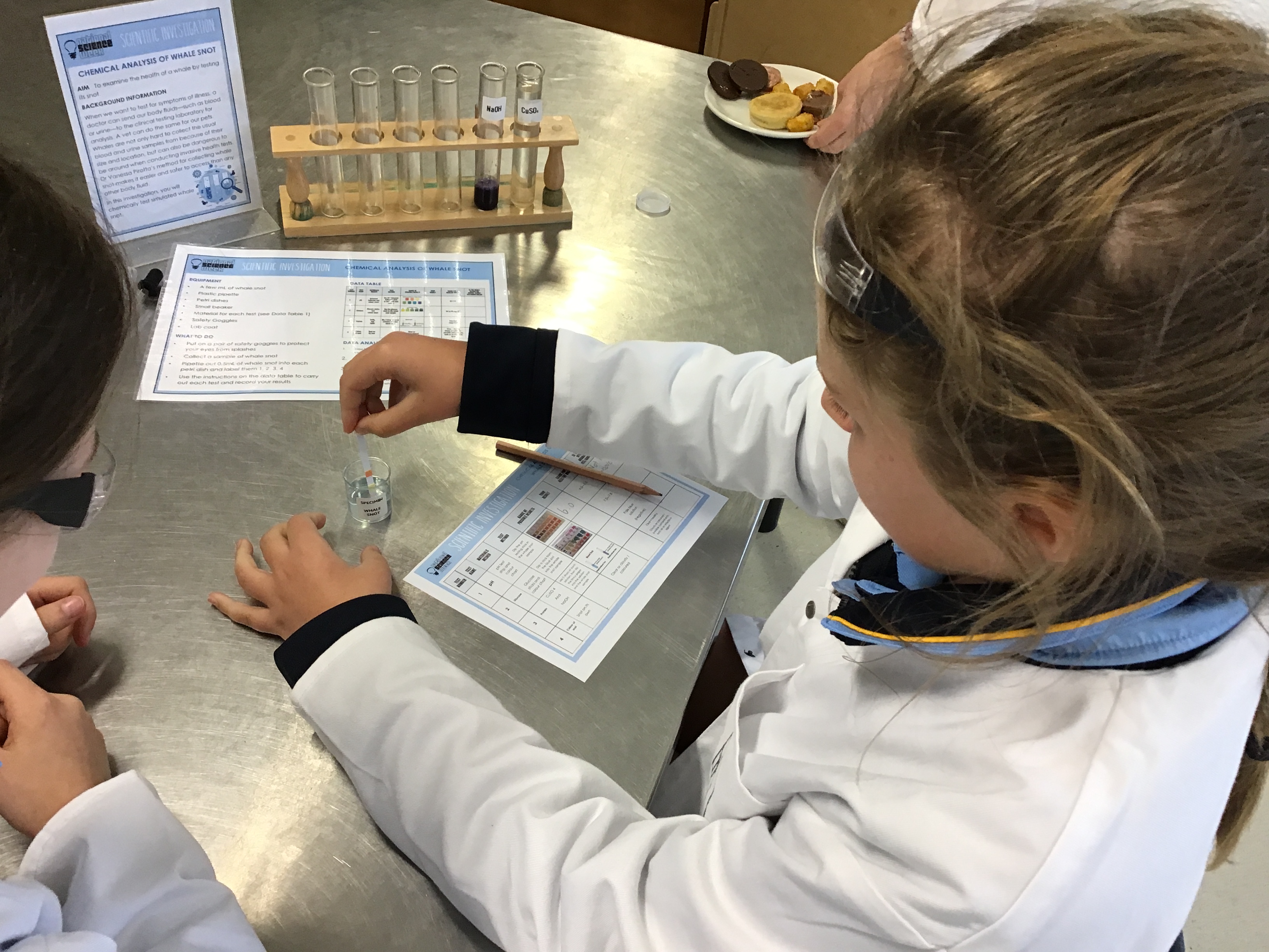 Bees, Hybrid Creatures, and Whale Snot: Science Week Fun at Redeemer ...